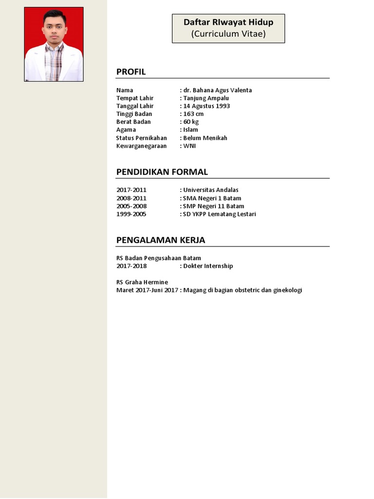 CV Bagus | PDF