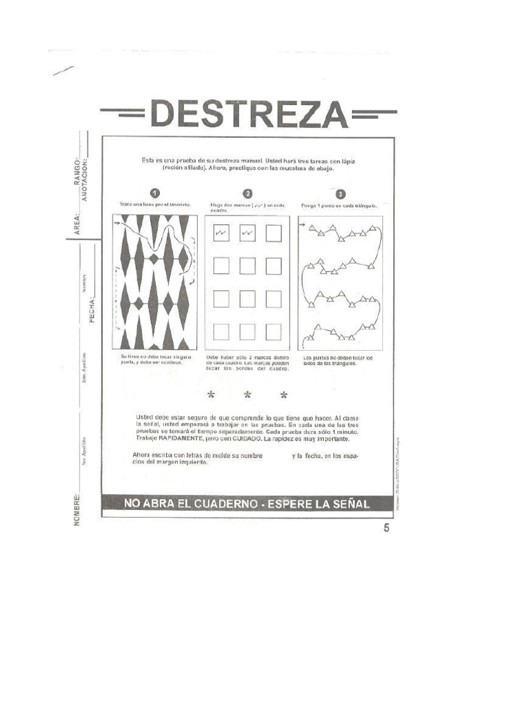Prueba de Destreza | PDF