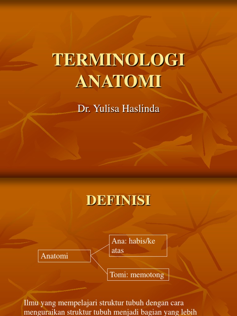 Terminologi Anatomi | PDF | Pengembangan Diri