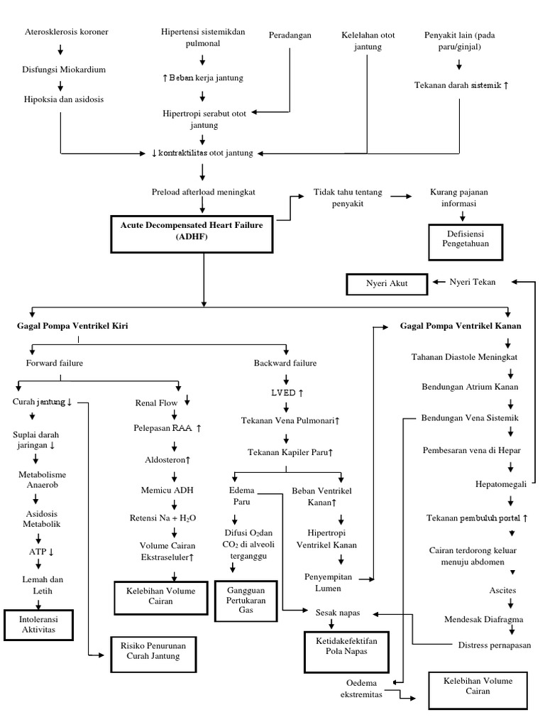 Pathway Adhf | PDF