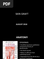 NCP Impaired Skin Integrity | PDF | Skin | Nervous System