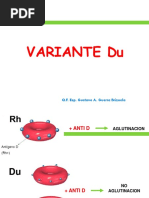 Tarjetas Grifols DG Gel-Solas | PDF | Tipo de sangre | Serología