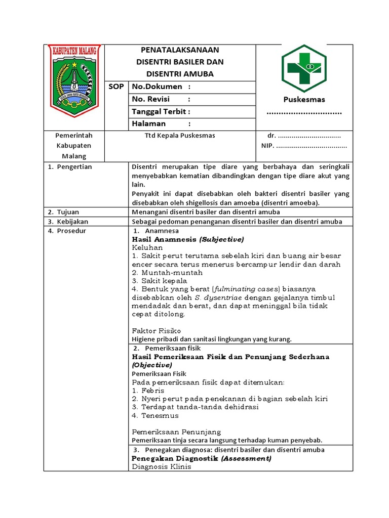 Disentri Basiler Dan Disentri Amuba | PDF