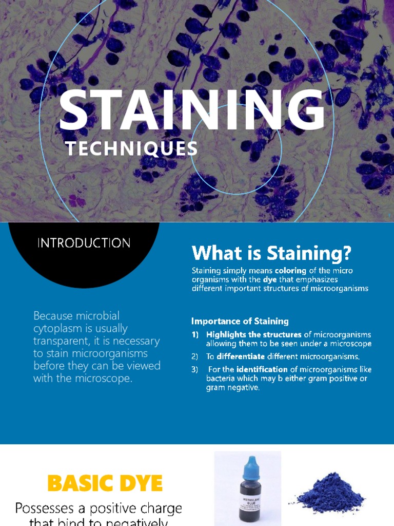 A Guide to Common Microbial Staining Techniques | PDF