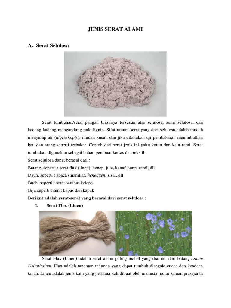 Jenis Serat Alami | PDF | Griya & Taman | Sains & Matematika