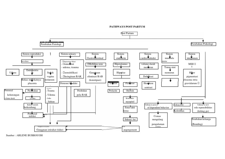 Pathway Postpartum Normal | PDF