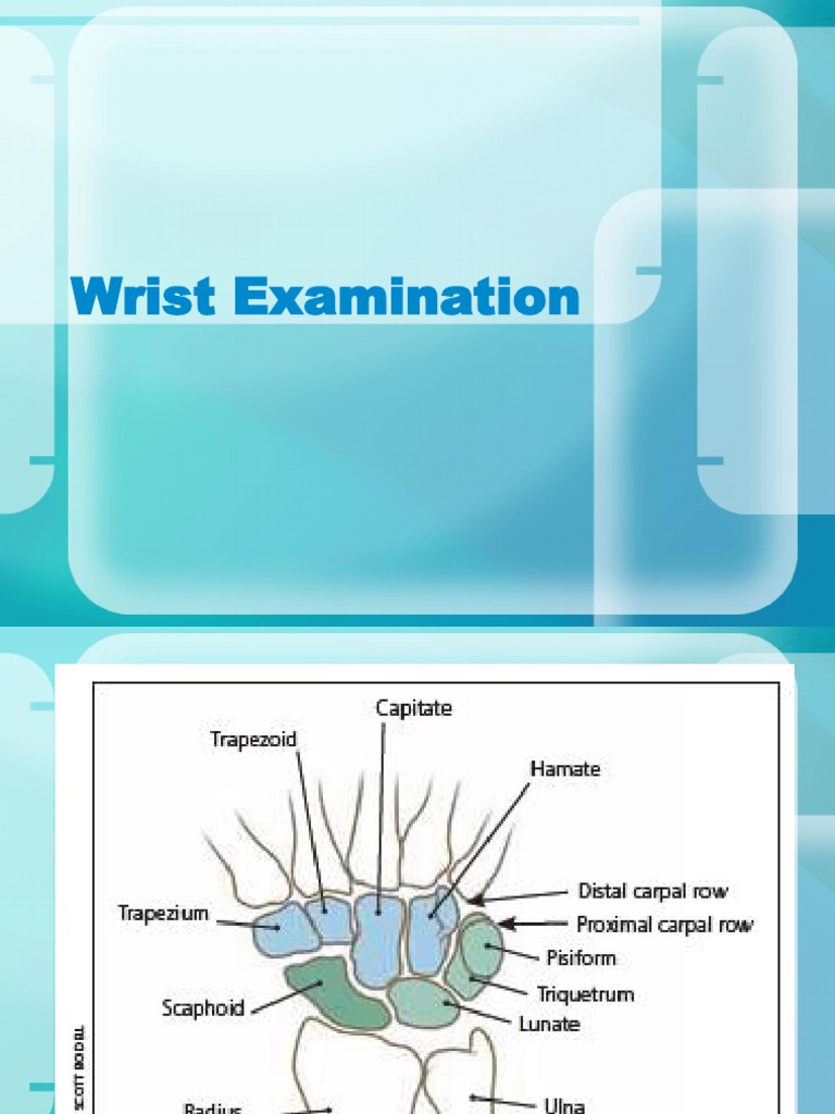 Wrist Examination Techniques and Tests | PDF | Wellness | Science ...