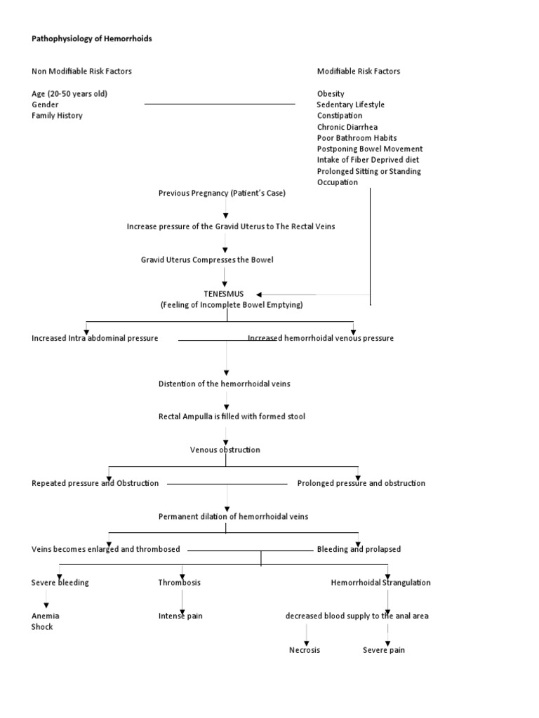 Pathophysiology of Hemorrhoids | PDF