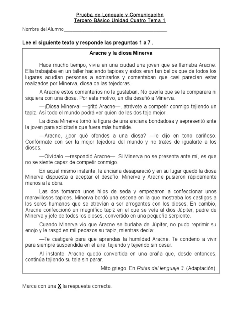 Prueba de Lectura Tercero Básico | PDF | Aves | Tapiz