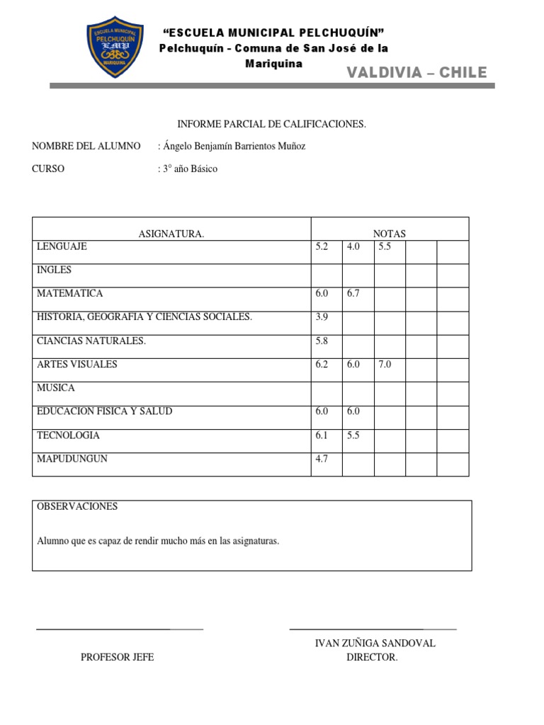 Informe Parcial De Notas Pdf Deportes