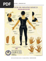 Shiatsu: Guia Completo e Prático | PDF | Coluna vertebral | Acupuntura