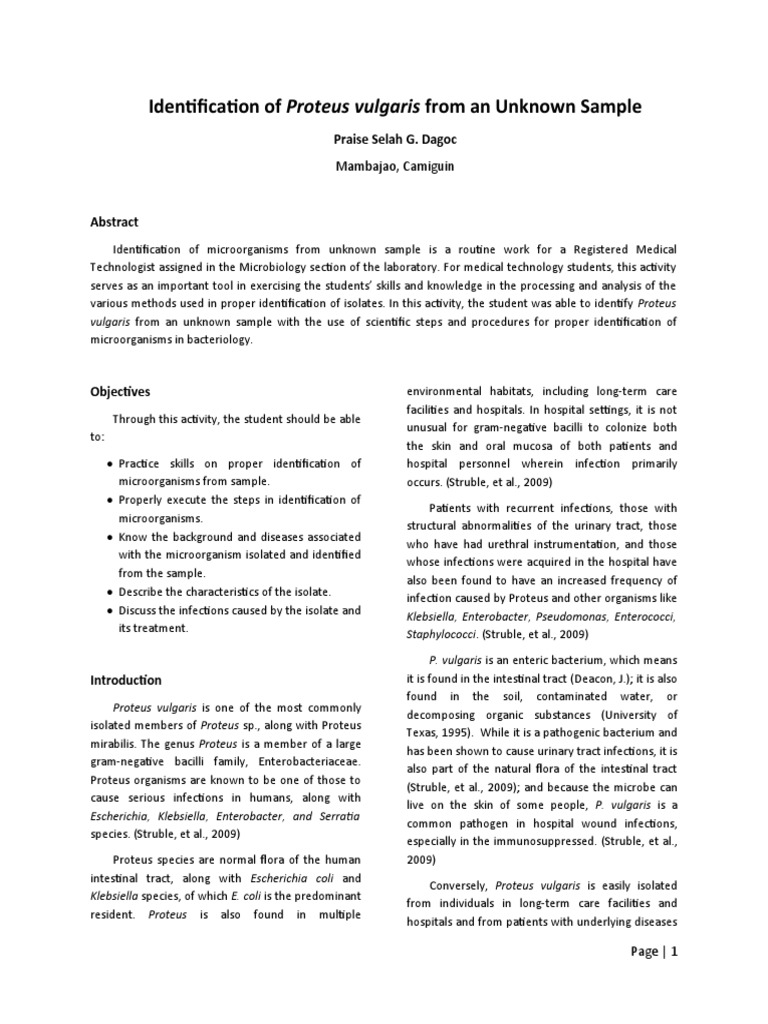 Identification of Proteus Vulgaris From An Unknown Sample | PDF ...
