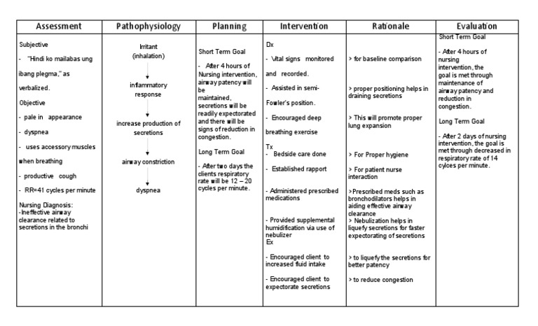 Ineffective Airway Clearance NCP | PDF | Respiratory Tract | Respiratory System