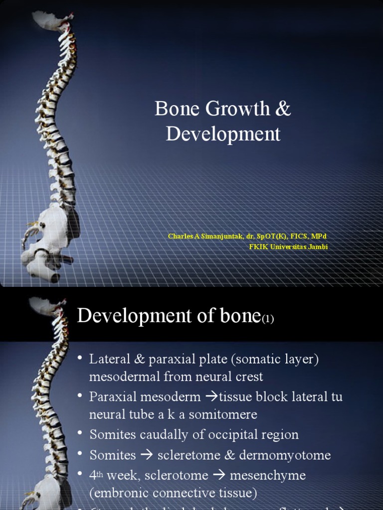 Bone Growth & Development: Charles A Simanjuntak, DR, Spot (K), Fics ...