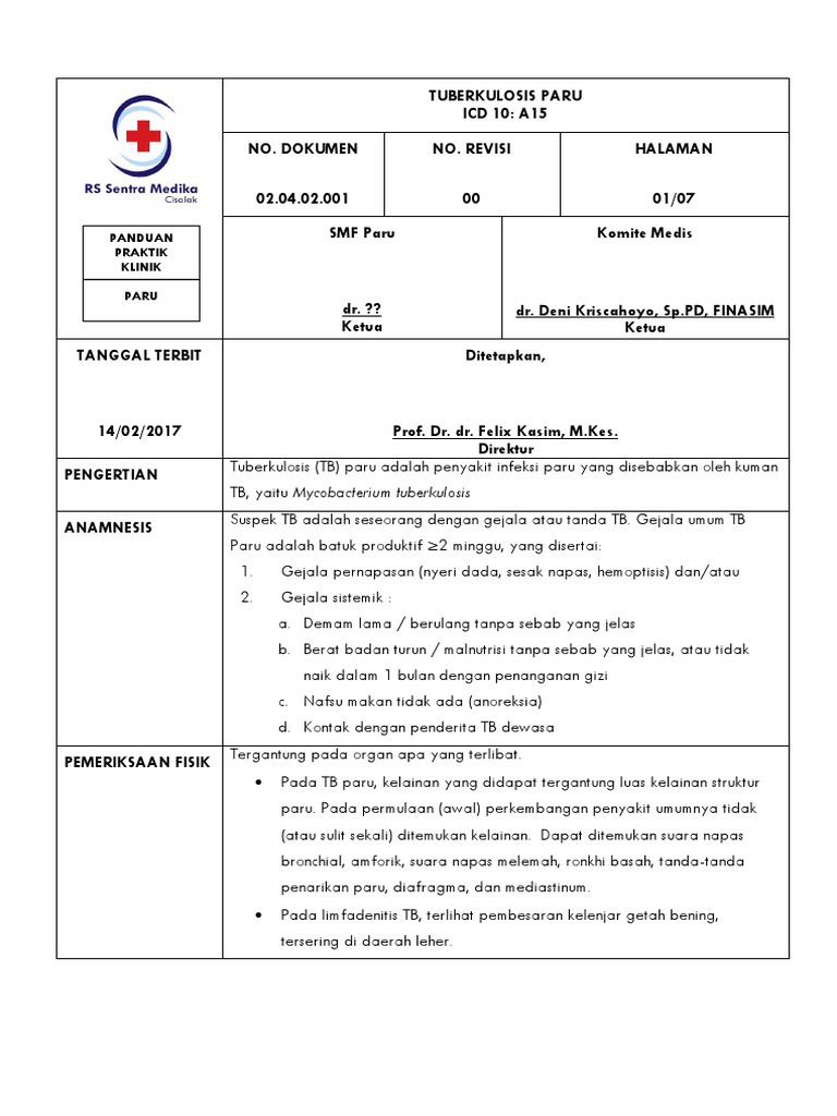 FORMAT PPK TB Paru | PDF