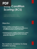 Purina Body Condition Score Diagram | PDF | Abdomen | Pelvis