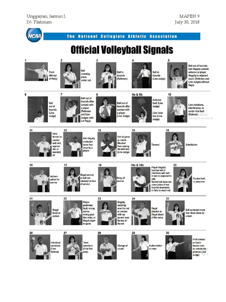 Hand Gestures | PDF