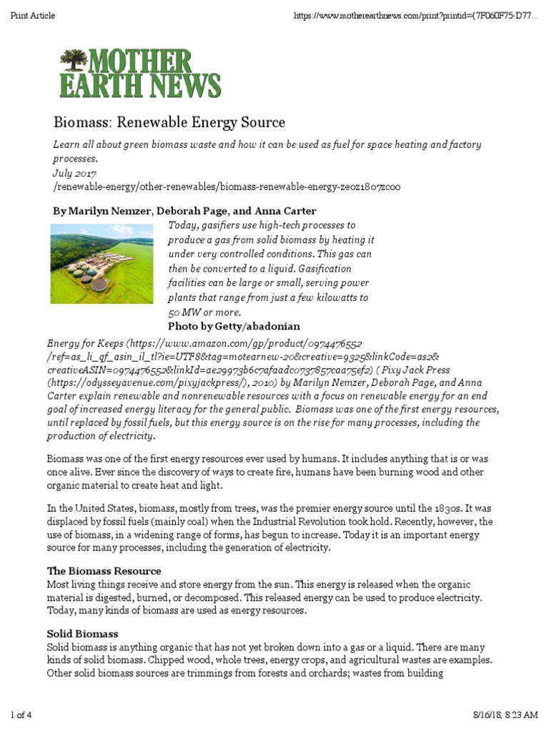 Harnessing Nature's Bounty: An In-Depth Look at Biomass Energy ...