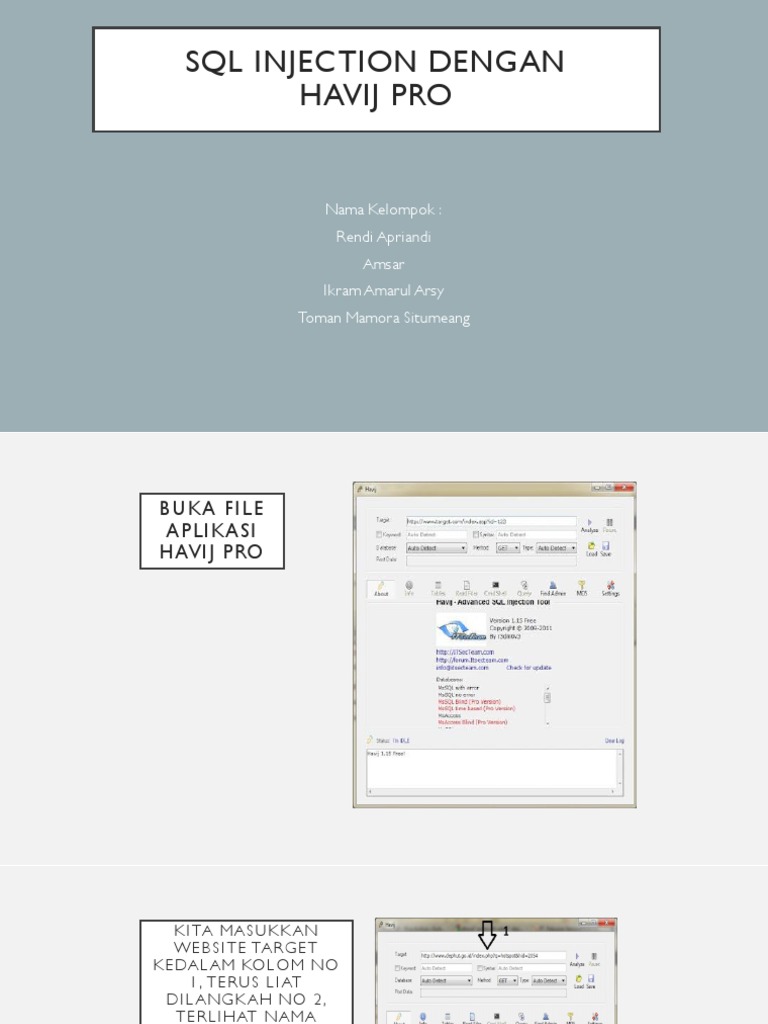 SQL Injection Havij Pro | PDF