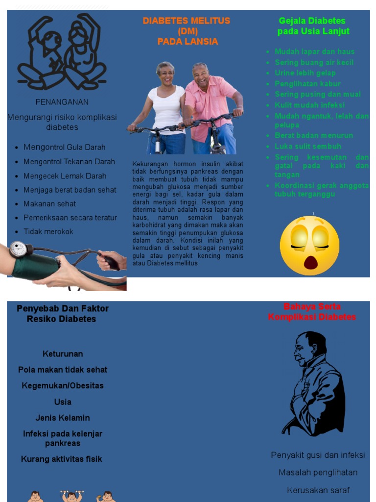 Leaflet DM Pada Lansia | PDF