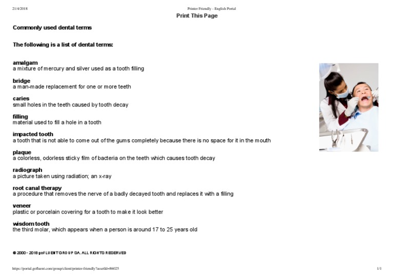 Commonly Used Dental Terms | PDF