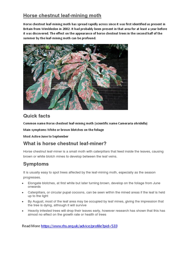 Horse Chestnut Leaf-Mining Moth Article | PDF | Home & Garden | Science ...