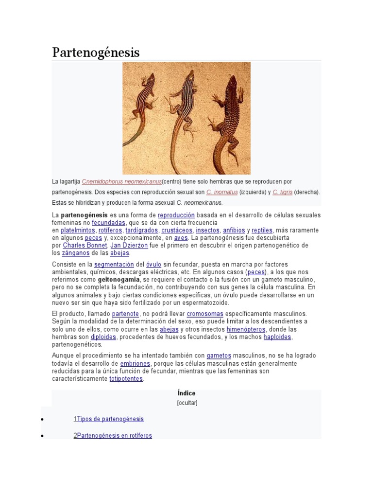 Partenogénesis | Organismos | Interacciones biológicas