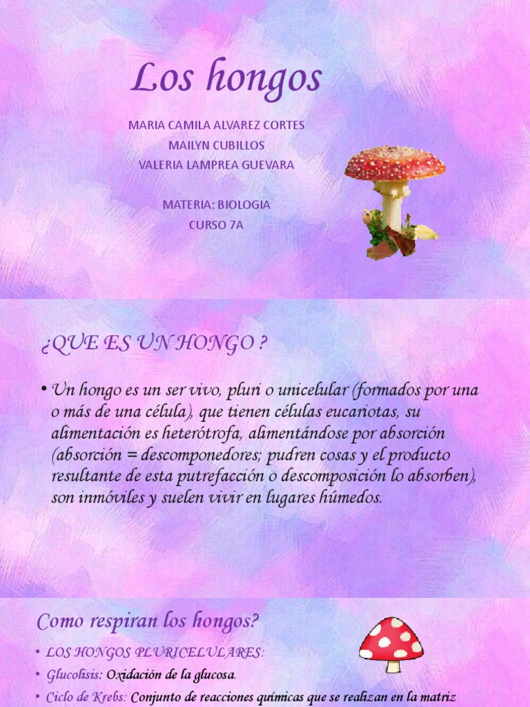 Los Hongos 1 | PDF | Hongo | Descomposición