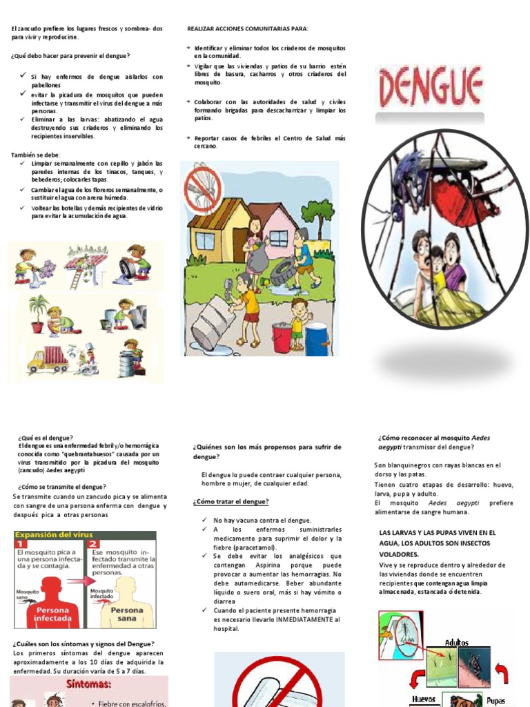 Prevencion Dengue Triptico | Enfermedades animales | Salud pública
