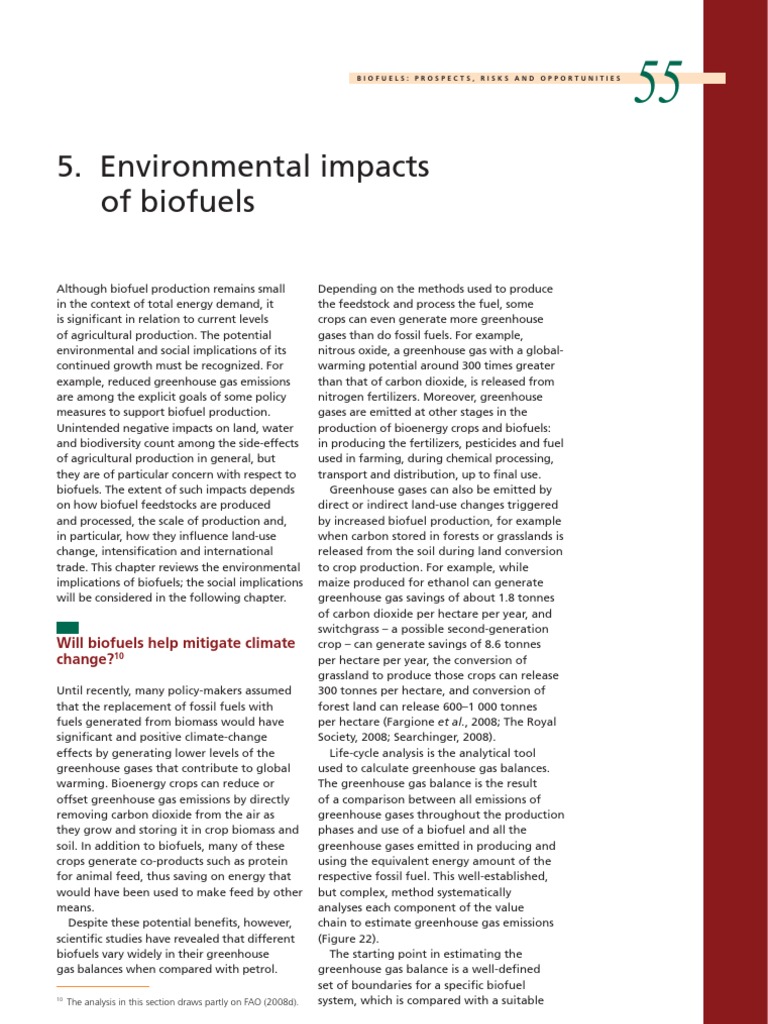 Environmental Impacts of Biofuels | PDF | Biofuel | Bioenergy