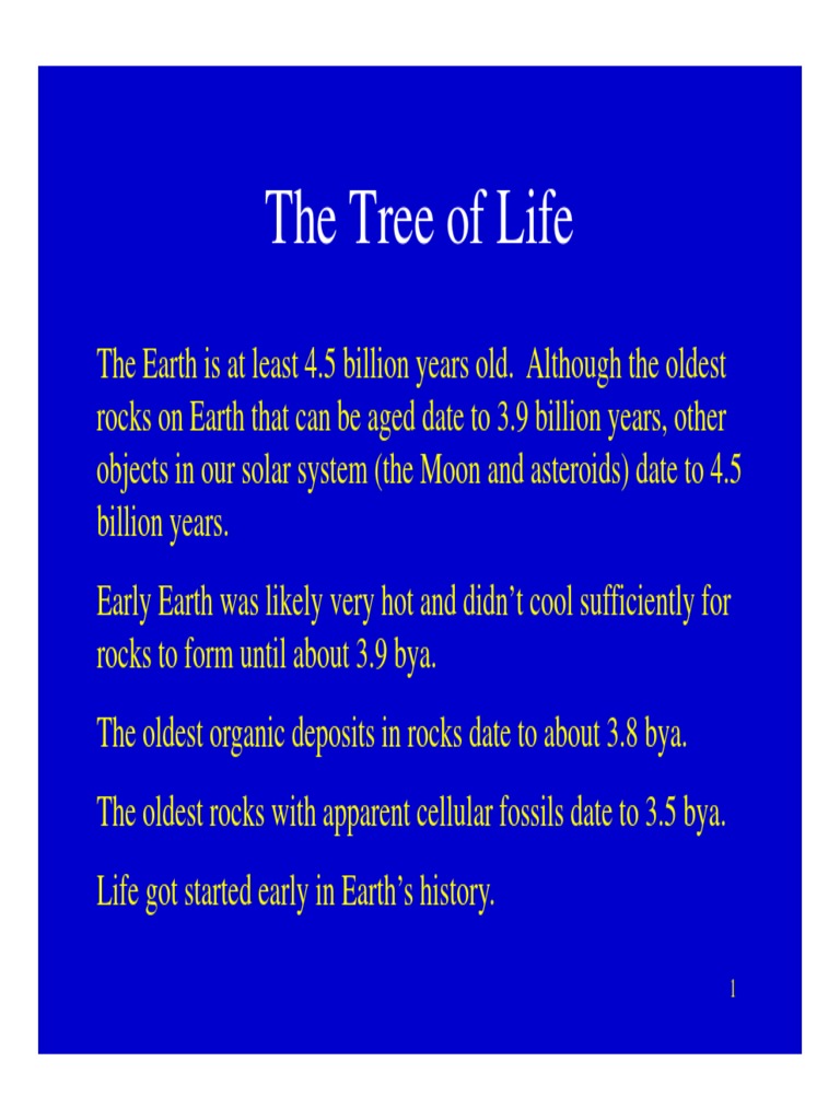 The Tree of Life The Tree of Life | PDF | Eukaryotes | Organisms
