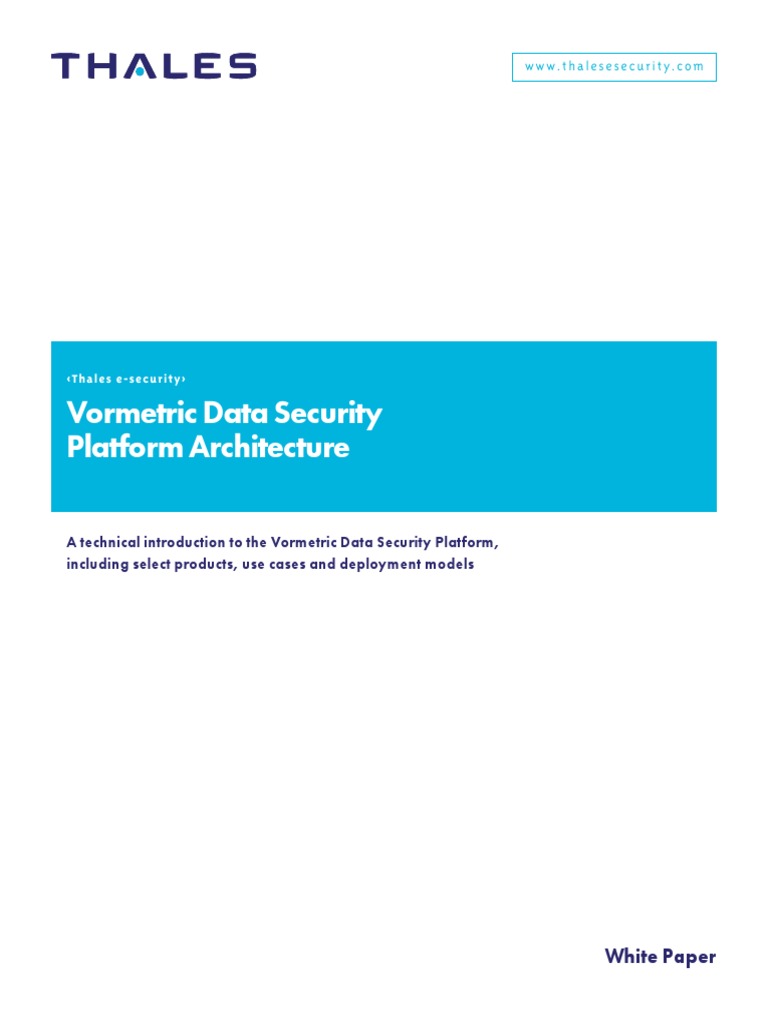 Vormetric Data Security Platform Architecture WhitePaper | PDF | Cloud Computing | Databases
