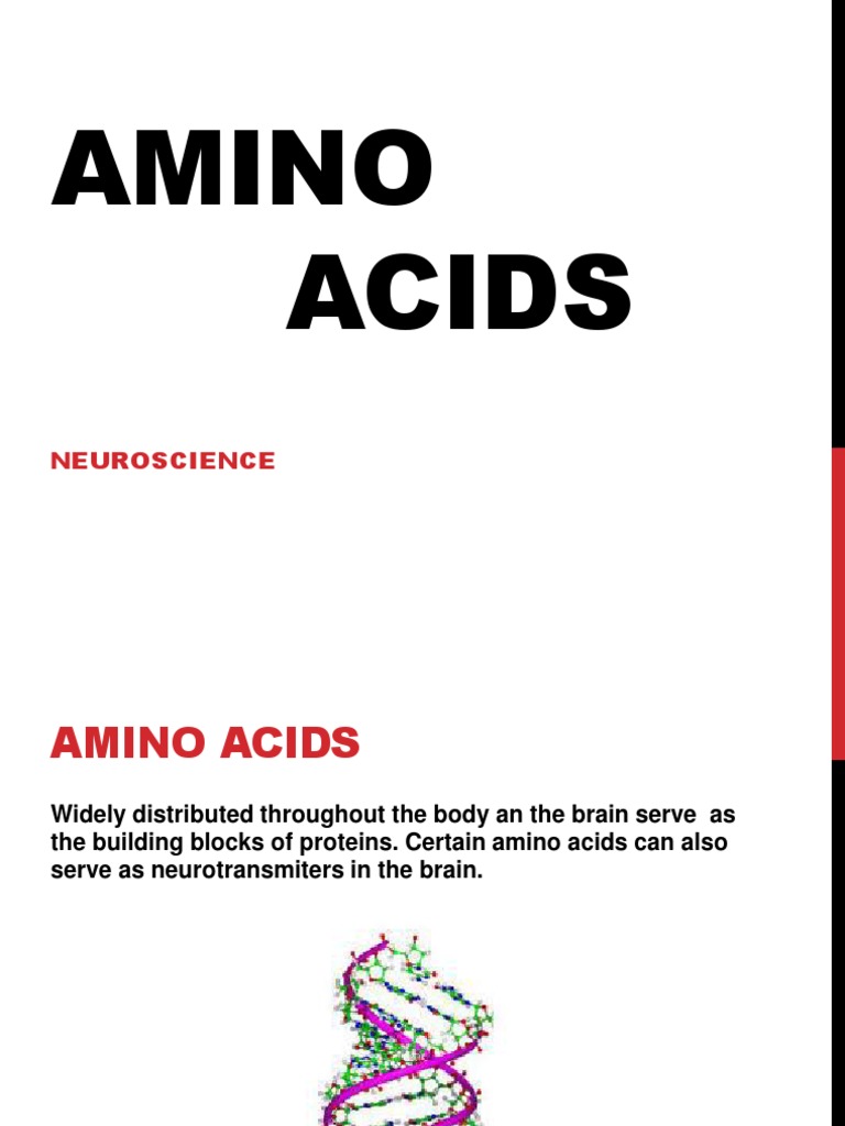 Neuroscience of Amino Acids | PDF | Wellness