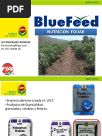 Folleto Florastart LQ | PDF | Flores | Botánica