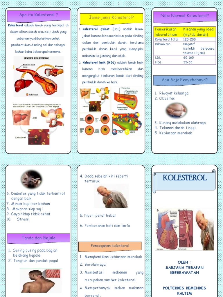 Leaflet Kolesterol Ok | PDF