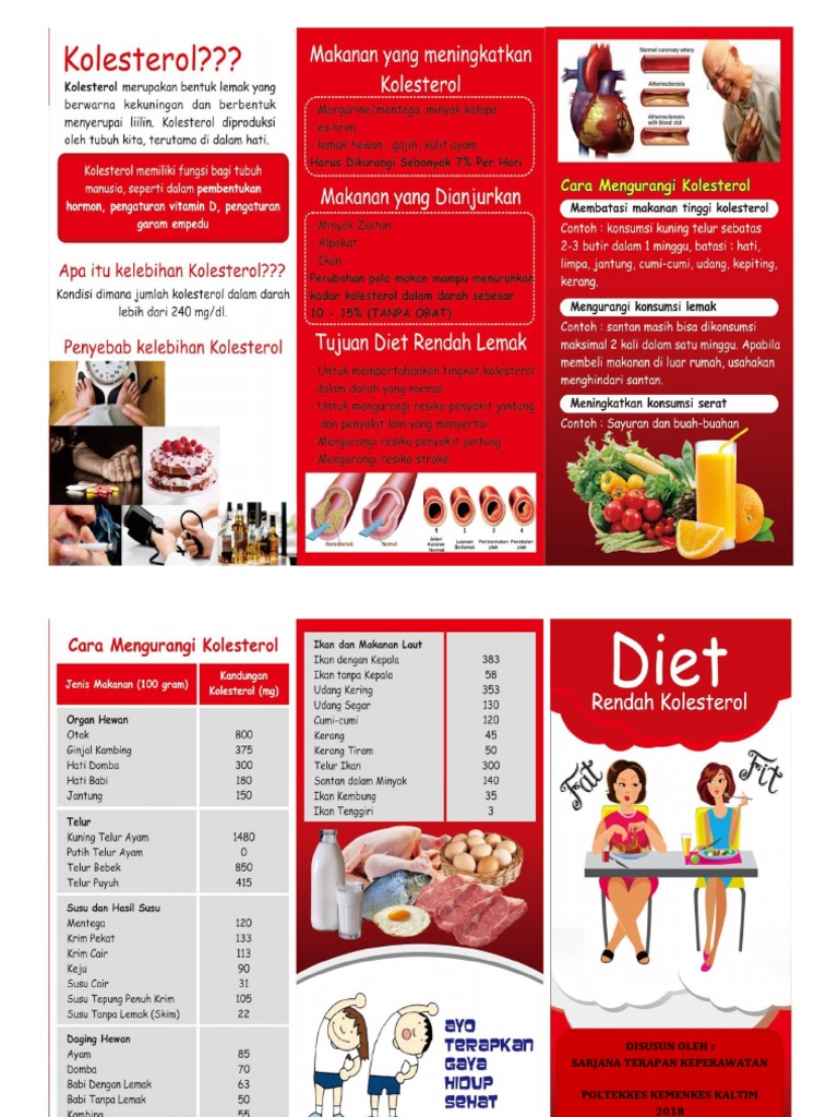 Leaflet Diet Kolestrol | PDF