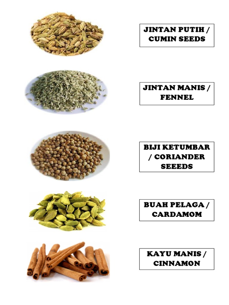 Jintan Putih / Cumin Seeds | PDF