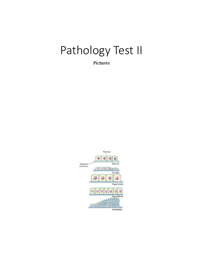 Pathology Test II Overview | PDF