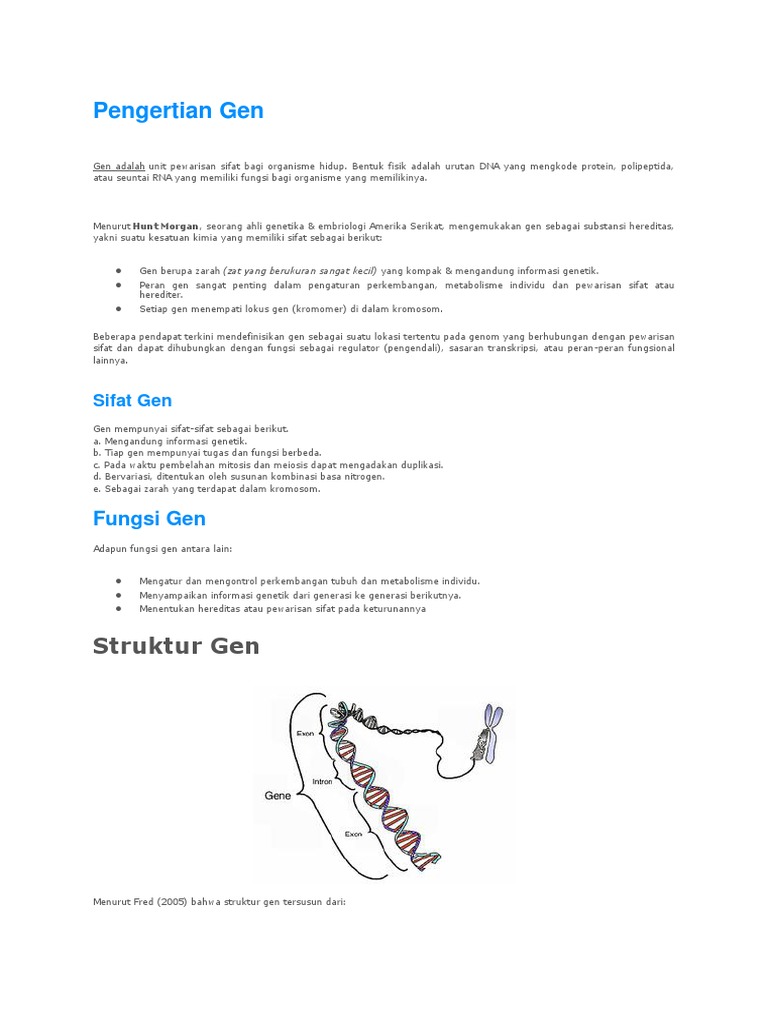 Pengertian Dan Fungsi Gen | PDF Pengertian Dan Fungsi Gen | PDF