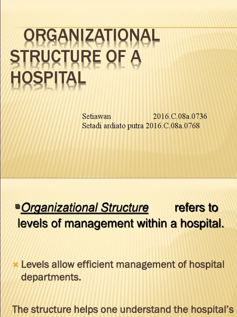 Hospital Organizational Structure Overview | PDF