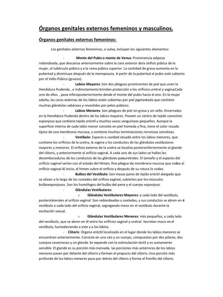 Órganos Genitales Externos Femeninos y Masculinos | PDF | Labios | Vagina