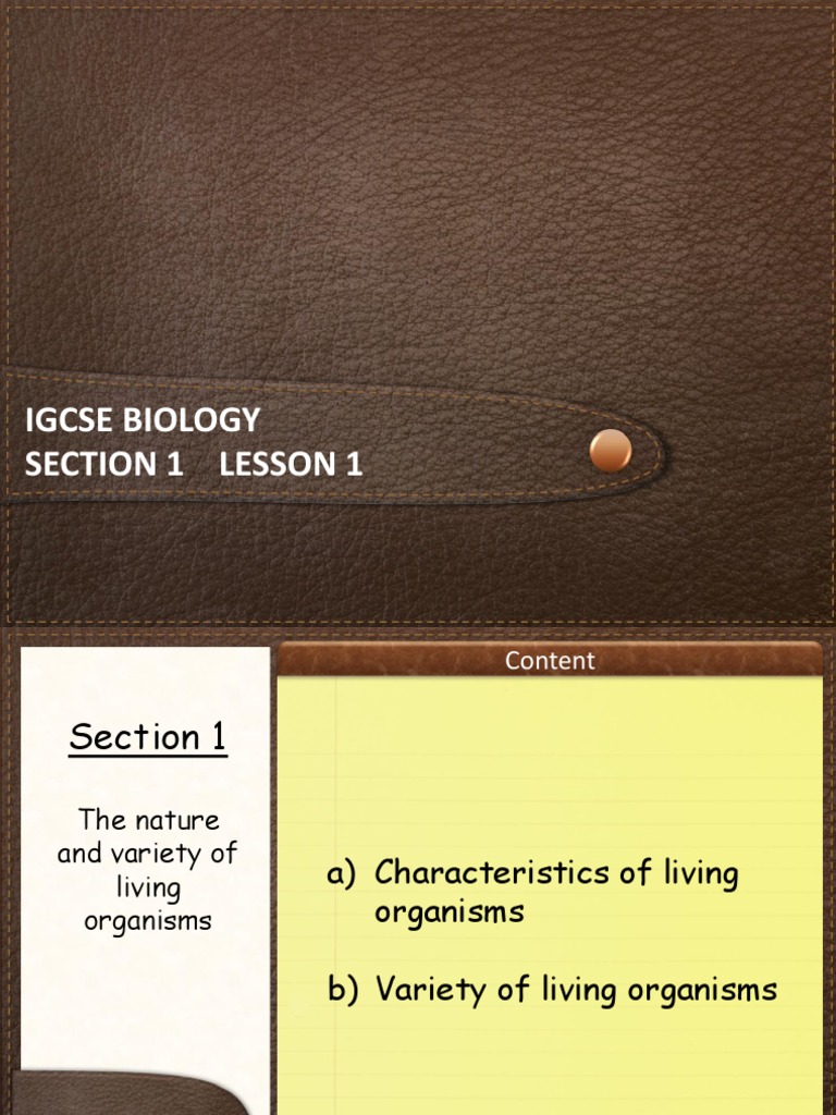 Characteristics of Living Organisms | PDF | Organisms | Taxonomy (Biology)