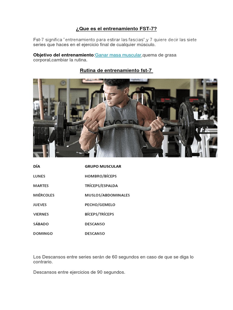 FST 7 | PDF | Anatomía humana | Sistema musculoesquelético