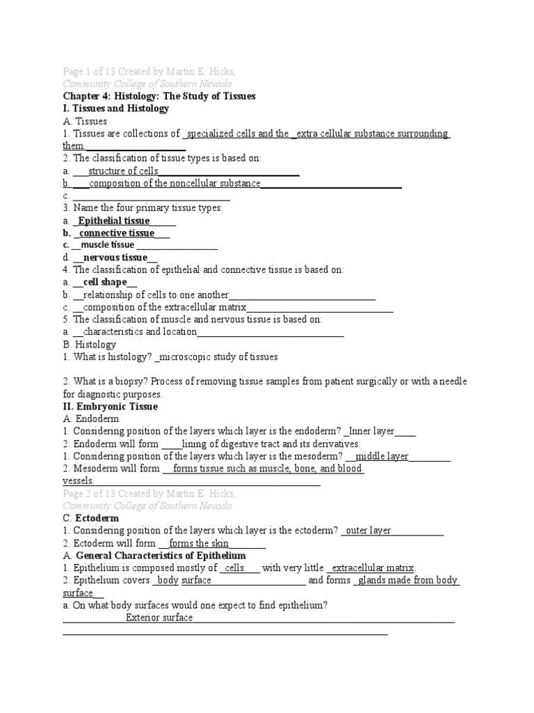 Anatomy Chapter 4 Study Guide | PDF | Epithelium | Connective Tissue
