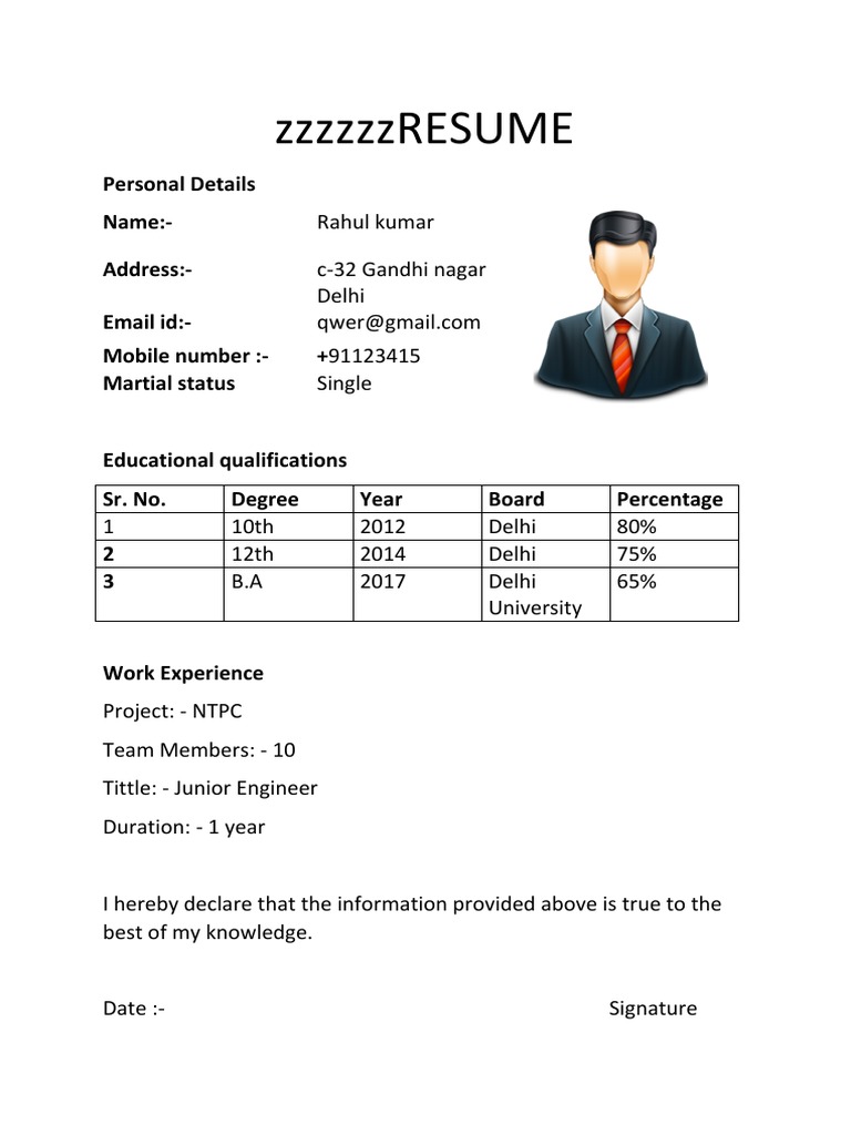 Resume Example for Job Applications | PDF