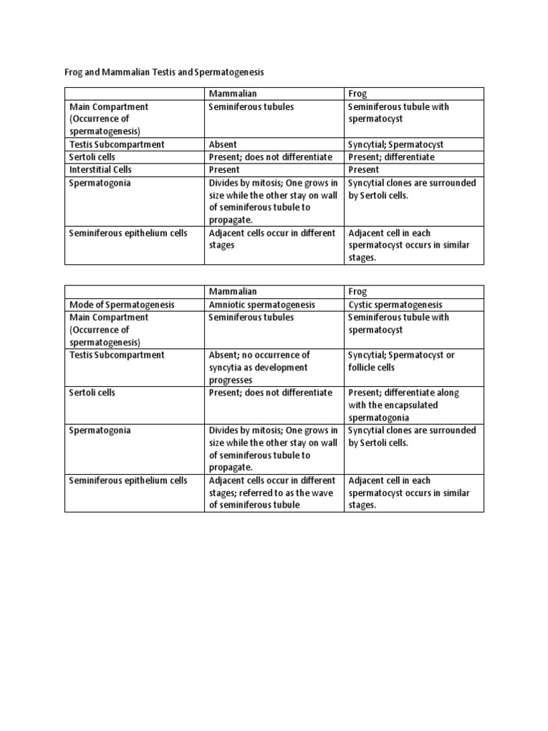 Frog vs Mammalian Testis Structure | PDF | Cells | Male Mammals