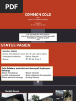 Tatalaksana Terapi Pneumonia Anak PNPK IDAI Referensi | PDF