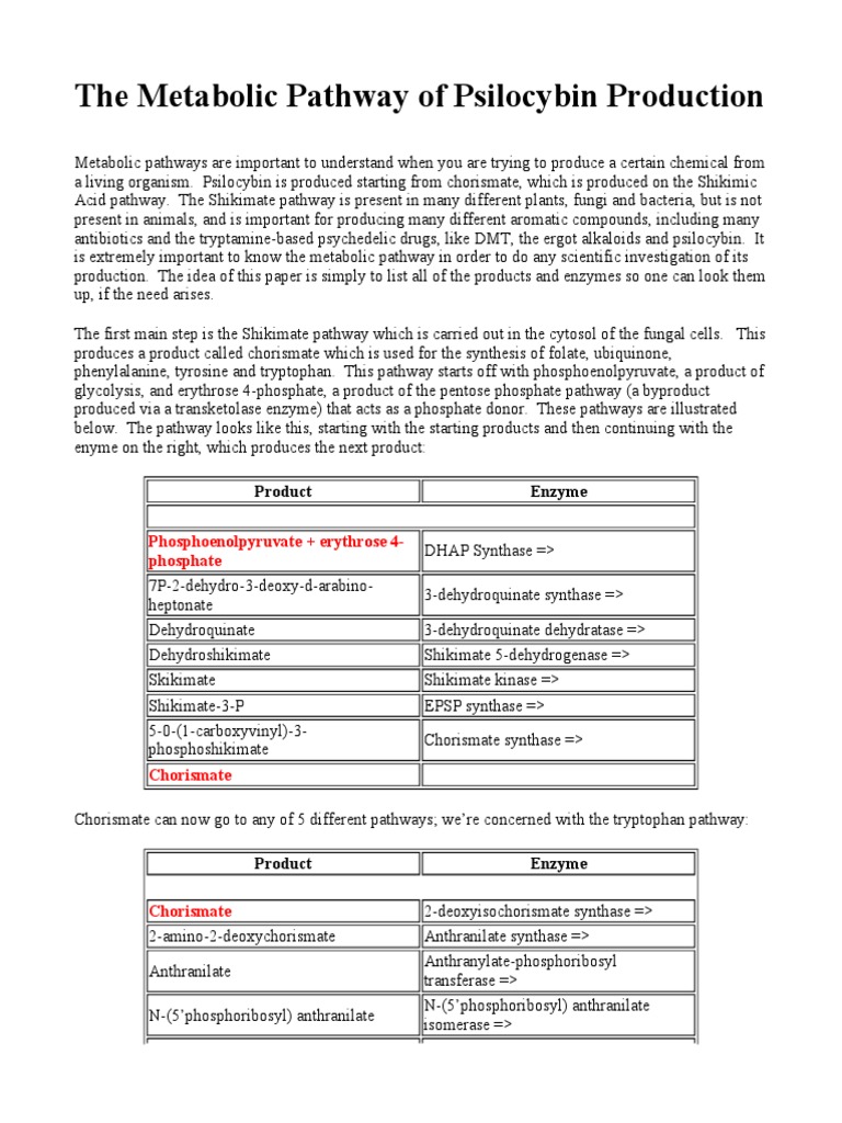 The Metabolic Pathway of Psilocybin Production PDF | PDF | Cellular ...