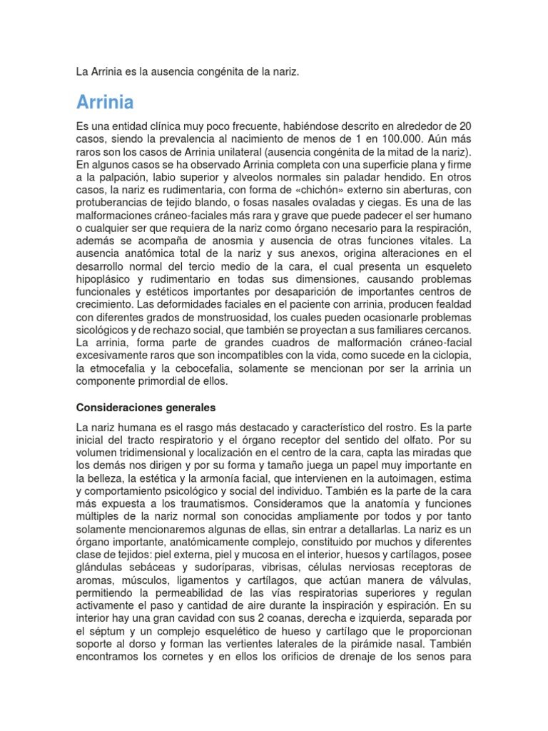 ARRINIA | PDF | Olfato | Anatomia animal