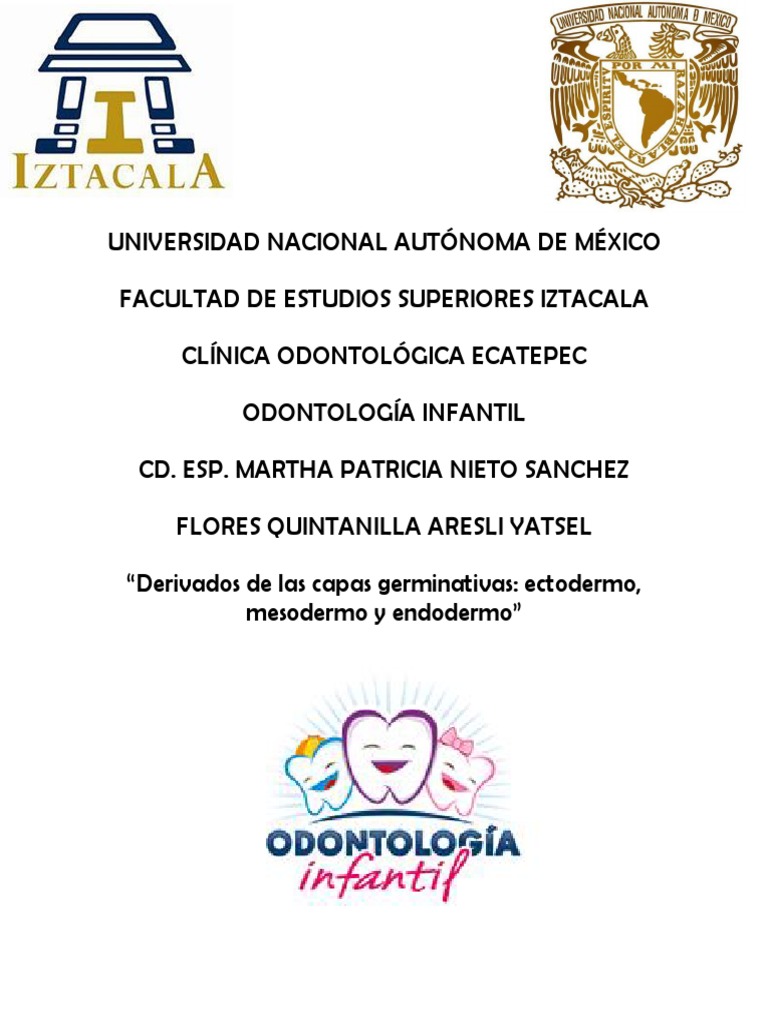 Capas Germinativas | PDF | Epitelio | Anatomía